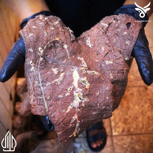 Jual Paru sapi lokal rebus potong dendeng - 1 kg - Jakarta Pusat - Si ...