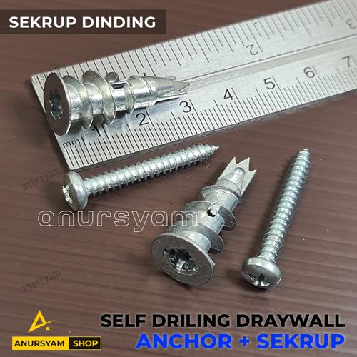 Jual Self Drilling Wall Drywall Anchor with Tapping Screw / Angkur ...
