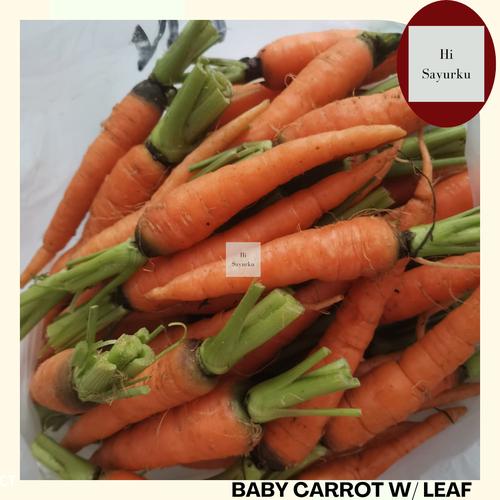 Jual BABY CARROT WITH LEAF FRESH 1 KG / WORTEL BABY+DAUN LOKAL 1 KG ...