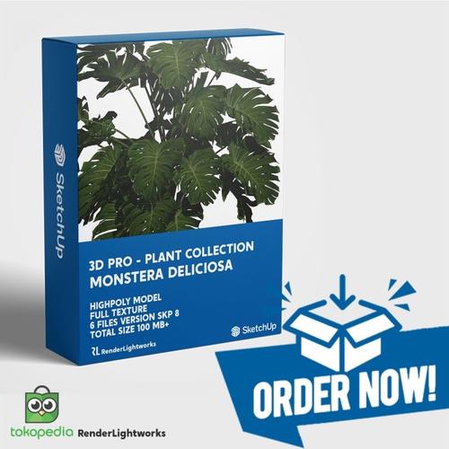 Promo 3D Premium Sketchup Tanaman Monstera Deliciosa - Kota Depok ...