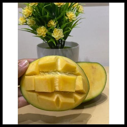 Jual BUAH MANGGA SIMANALAGI 1KG|BUAH SEGAR BANDUNG|NURI FRUITS|BUAH ...