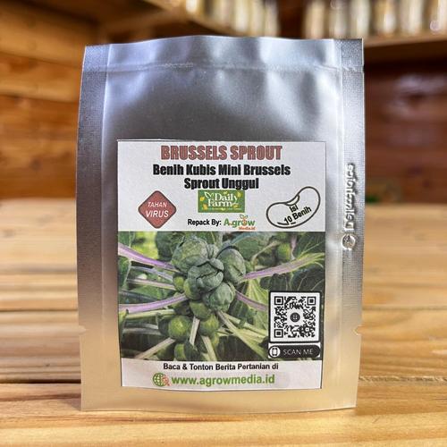 Jual Benih Sayur Kubis Mini BRUSSELS SPROUT Isi 10 Butir Bibit Biji ...