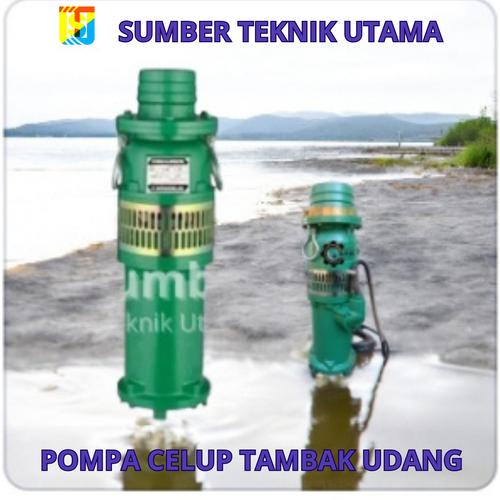 Jual POMPA CELUP TAMBAK UDANG 4Inch 2200W 220V 1phase SUBSCRIBE Pump 4 ...