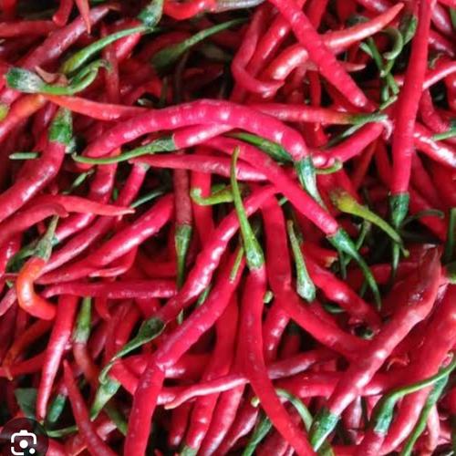 Jual cabe merah kriting 250 grm - Kota Bekasi - Sayur Segar Bekasi ...