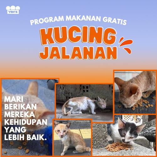 Jual Donasi Kucing Jalanan Bersedekah Makanan Kucing Jalanan - Kab ...