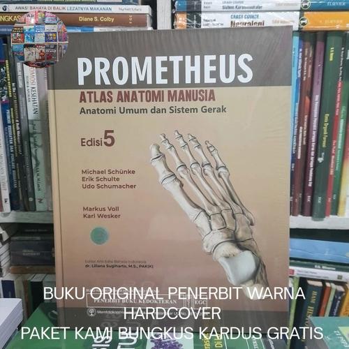 Jual Buku Original Satu Set 3 Buku Atlas Anatomi Prometheus Edisi 5 - Michael Schunke - Kab ...
