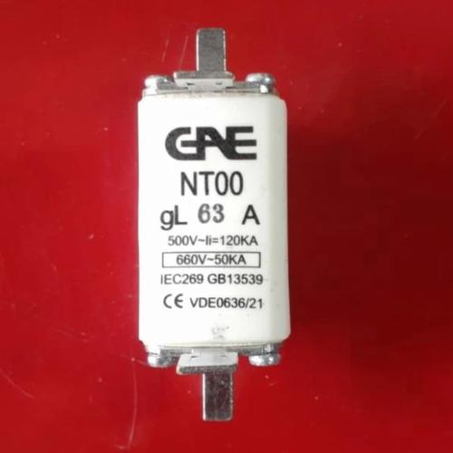 Jual NT Fuse Size 00 20A 35A 40A 50A 63A 80A 100A 125A 160A GAE 500 Volt - 100A - Kota Surabaya ...
