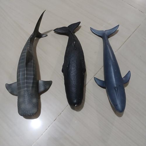 Jual Blue Whale, Shark whale, Sperm Whale Collecta figure - Kota Batam ...