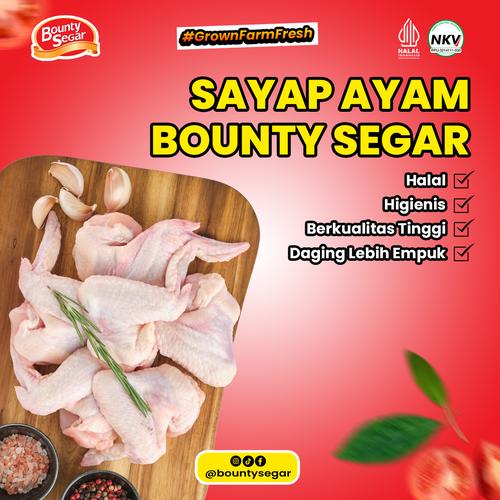 Jual Sayap Ayam Frozen Chicken Wings Beku Segar 1 kg - 450-500gr ...