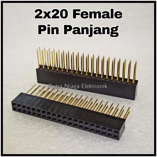 Jual Header Female 2x20 Pin Kaki Panjang pitch 2.54mm 20x2 Double Row ...