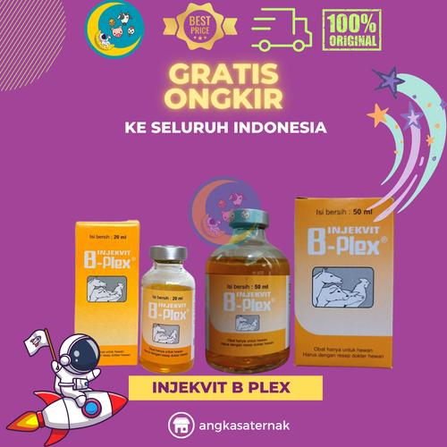 Jual INJEKVIT B PLEX 20 ml dan 50 ml - Vitamin B Complex Untuk Ternak Sapi Kambing Domba Babi ...