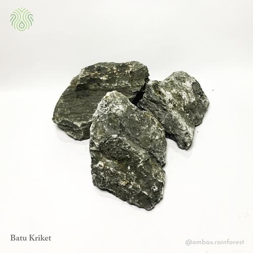 Jual Batu Kriket / kreket Rock - Aquascape / Terrarium / dekorasi ...