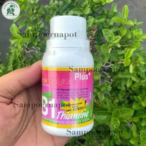 Jual pupuk vitamin B1 plus grow quick 100 ml - merangsang akar anti ...