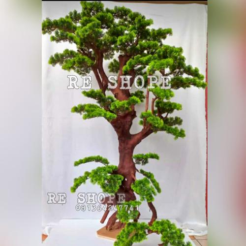 Jual Pohon Pinus Cemara Tanpa Pot Bunga Bonsai Hias Plastik Dekorasi ...