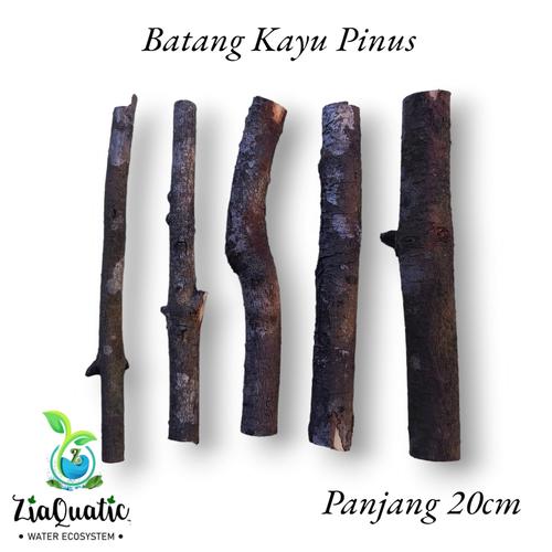 Promo Hardscape Kayu Pinus Terrarium Aquascape Paludarium / Media Tanam ...