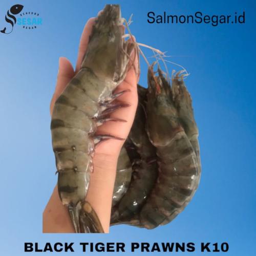 Jual Black Tiger Prawns - Udang Tiger Jumbo - Udang Segar Premium ...