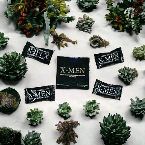 Jual permen xmen 5 box permen kesehatan - Jakarta Utara - X-Men ...