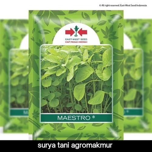 Jual BIBIT/BENIH BAYAM MAESTRO KEMASAN 500GR - Kab. Blora - SURYA TANI ...
