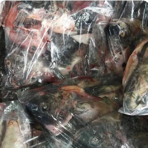 Jual kepala ikan nila segar 1kg - Kota Medan - bunan_mart | Tokopedia