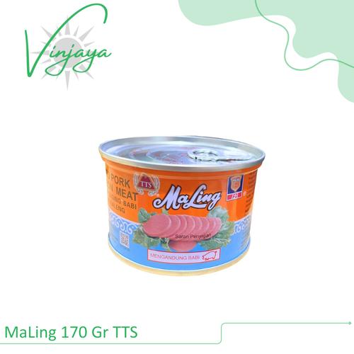 Jual Ma Ling Canned Pork Luncheon Meat / Maling Daging Babi Kaleng ...