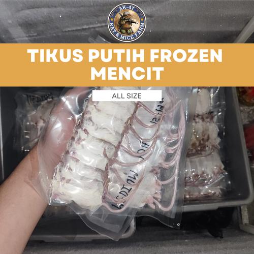 Jual Tikus Putih Mencit FROZEN - Mus Musculus - Pakan Hewan Reptil ...