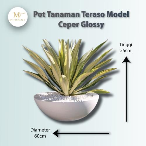 Jual POT TANAMAN HIAS TERASO MODEL CEPER GLOSSY | POT TANAMAN CANTIK ...
