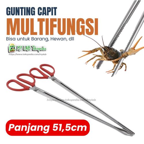 Promo Gunting Capit Belut Kepiting Ujung Model Lurus Lengkung 52cm Anti ...