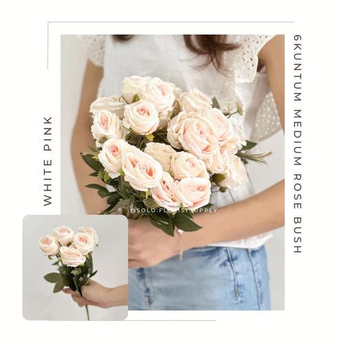 Jual 6 KUNTUM MEDIUM ROSE BUSH Bunga Mawar Impor Rose Paris Kombinasi ...