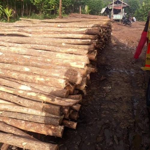 Jual kayu dolken proyek 5/6/7/8 - Kab. Bogor - suplayer kayu | Tokopedia