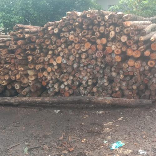 Jual dolken tiang lokal 7/8/9 proyek - Kab. Bogor - suplayer kayu ...