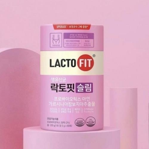 Jual Lacto Fit Probiotics Slim Lacto-Fit Korea - Lactofit - With Box ...