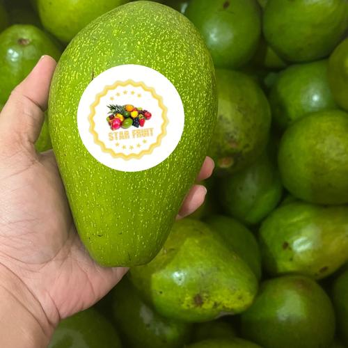 Jual Alpukat Mentega Super Jumbo - Kab. Bekasi - StarFruit13 | Tokopedia