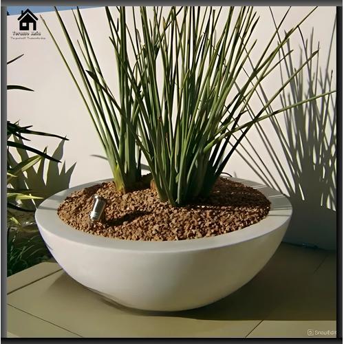 Jual Teraso Pot Taman Minimalis | Pot Taman Terazzo Unik - Kota Depok ...