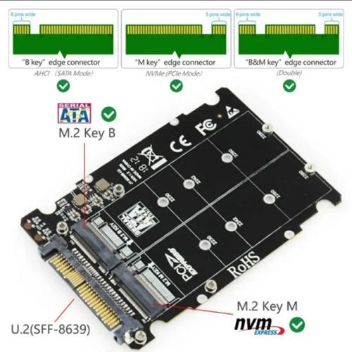 Jual NVME & M.2 NGFF to SAS U.2 Male adapter Dual mode active converter ...