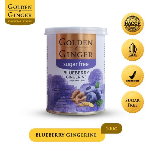 Jual Golden Ginger Blueberry Gingerine Sugar Free (CAN) - Jakarta ...