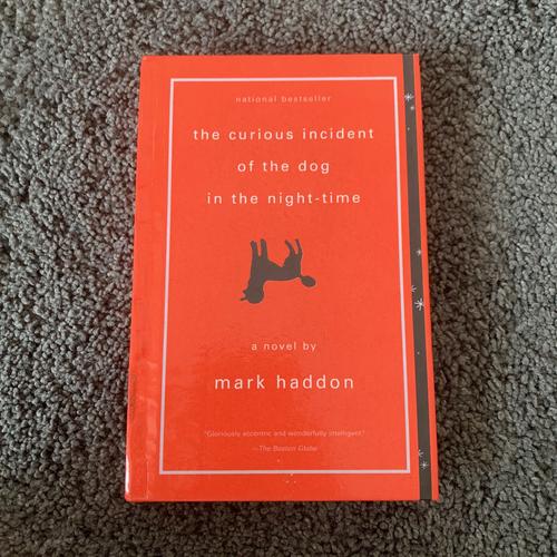 Jual THE CURIOUS INCIDENT OF THE DOG IN THE NIGHT TIME by MARK HADDON ...