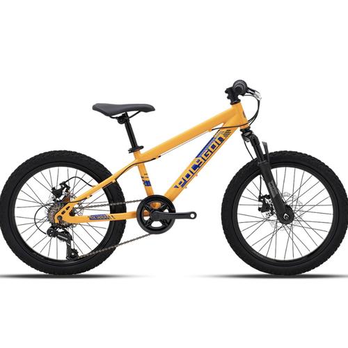 Jual Sepeda Polygon ANAK 20 inch Maze - Jakarta Timur ...