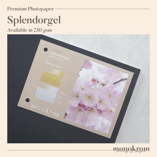 Jual Print / Cetak Splendorgel 230 ( 2 sisi ) uk. A3+ - Kota Semarang ...