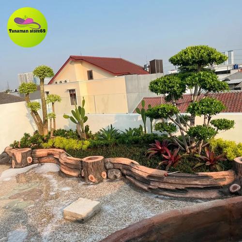 Jual taman rooftop minimalis | Rooftop Garden - Kab. Bogor - Tanaman ...