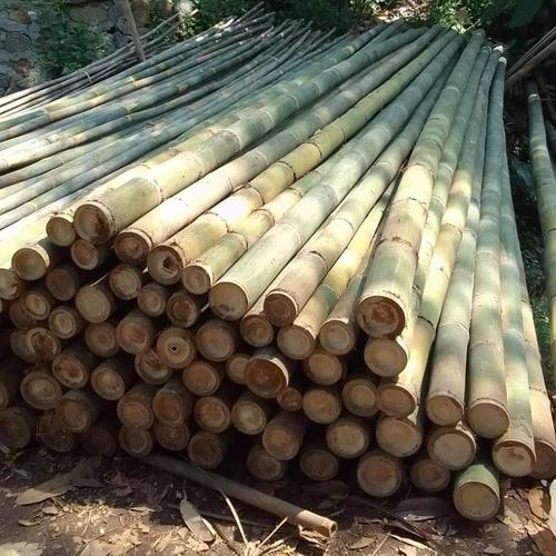 Jual BAMBU STEGER | BEKISTING | BAMBU CERUCUK | BAMBU PROYEK MATERIAL ...