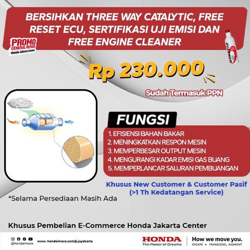 Jual Bersihkan Three Way Catalytic (TWC) free Reset ECU (New Customer ...