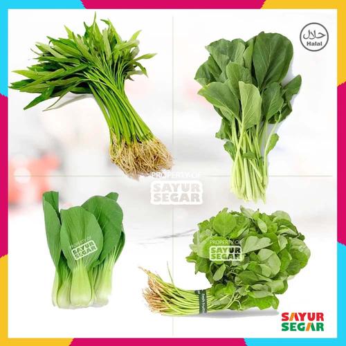 Jual Sayuran Segar Kangkung / Bayam/ Pokcoy / Sawi Hijau / Genjer ...