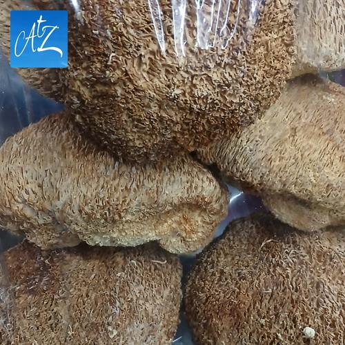 Jual Jamur surai singa kepala monyet Hou Tou Gu kering dried Monkey ...