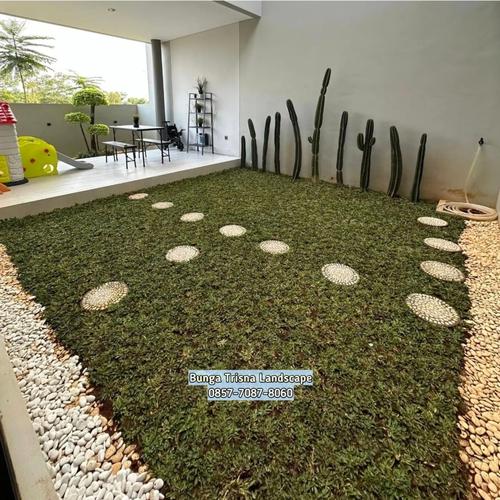 Jual Taman Rumput Gajah mini Karung Besar - Taman Minimalis - Jakarta ...
