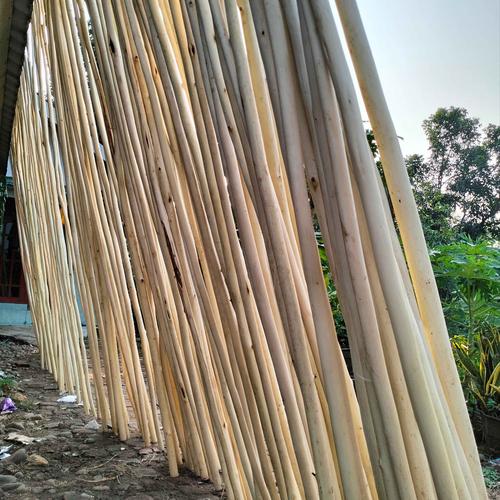 Jual kayu dolken kupas/kayu decorasi DM 3 cm - Kab. Bogor - pangkalan ...