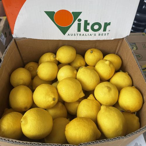 Jual Lemon | lemon impor | lemon australia | lemon usa | lemon amerika ...