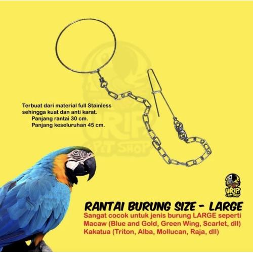 Jual Rantai Burung Stainless Sunconure Nuri Kakaktua Macaw - Large ...
