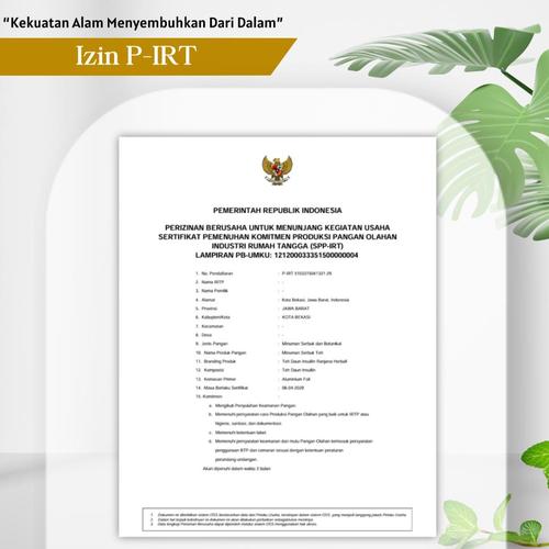 Jual Teh Celup Insulin Yakon Obat Diabetes Glukosa Gula Darah Luka ...