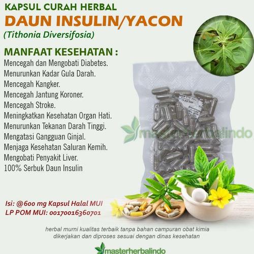 Jual DAUN INSULIN YACON 100 Kapsul Curah Herbal Stroke Diabetes Liver ...