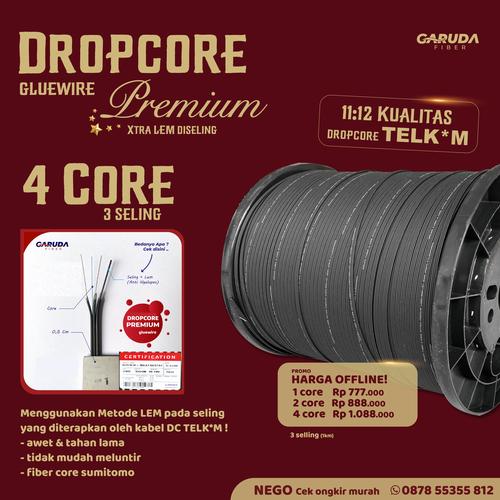 Jual 4 Core Premium Dropcore (Glue wire) - 3 Seling Kabel Fiber Optik ...
